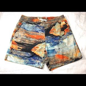 RAINFOREST | Swim | Rainforest Mens Swim Board Shorts Sz L | Poshmark